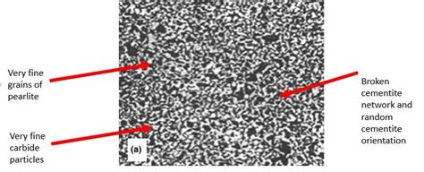 Possible Microstructure After Normalizing Download Scientific Diagram Possible Microstructure After Normalizing Download Scientific Diagram