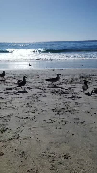 Wonki Kim On Linkedin With My Daughter Laguna Beach In California