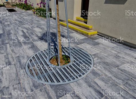 차선 사이에 섬을 나누는 횡단보도 거리를 따라 마른 사랑의 꽃이 심어진 도로 표시가 있는 아치 원예 호화로운 돌 연석 산책로 포장 원형 덮개 0명에 대한 스톡 사진 및 기타