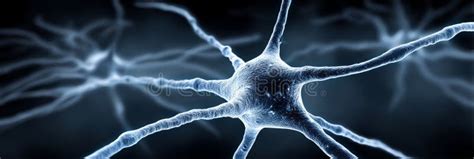 Microscopic Neuron Network Detailed Closeup Of A Neuron Network Showcasing Intricate Neural