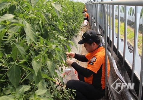 경남고성소방서 농촌 일손돕기 나서fpn Daily