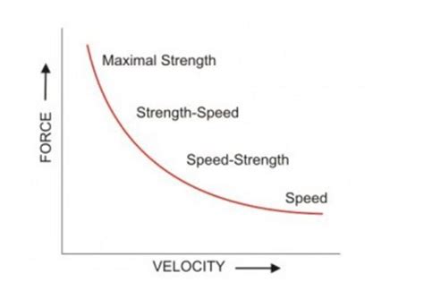 Friction And Elasticity Rethinking The Force Velocity Curve For