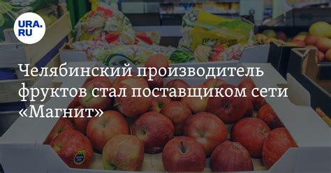 Фермерские фрукты и овощи поставка в федеральные торговые сети Челябинская область