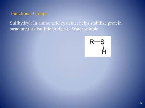 Chapter 3 Biochemistry Ppt Download