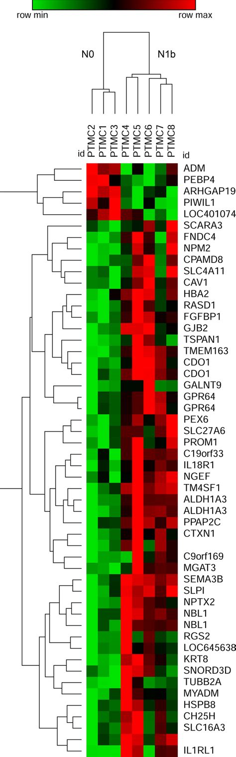 Hierarchial Cluster Analysis Of Differentially Expressed Genes Degs Download Scientific