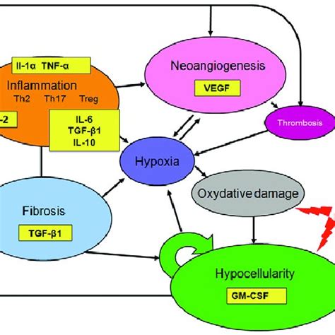 Simplified Model Of The Complex Network Of Interacting Processes And Download Scientific
