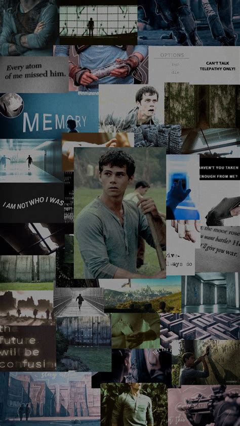 Maze Runner Funny Maze Runner Movie Maze Runner Trilogy