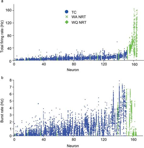 Firing Type And Rate Variation Between Ass In Gaers Total A And Burst Download Scientific