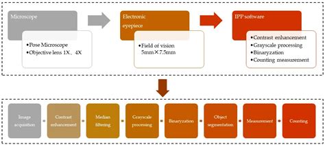 Preparation And Component Optimization Of Resin Based Permeable Brick