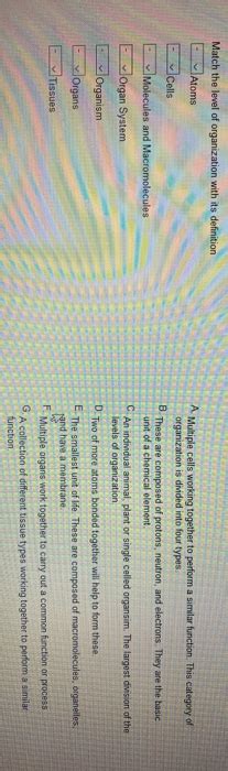 Solved Match The Organ System With Its Function Chegg