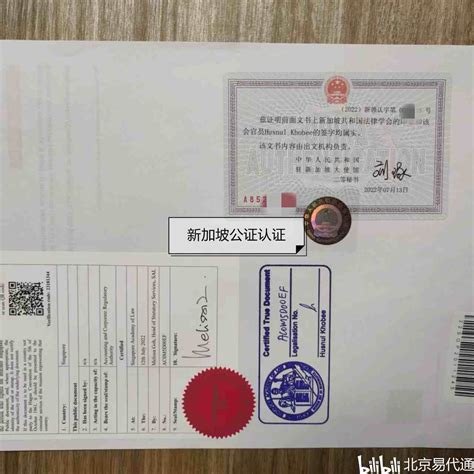什么情况需要办理新加坡文件使馆认证呢，三级认证流程？ 哔哩哔哩