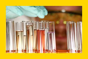 Oregonians Reporting Leads To Required Timely Testing Of Sexual Assault Kits News Media Alliance