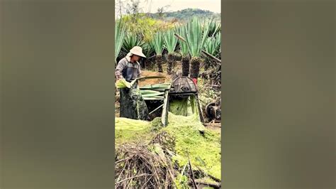 এমন জুতা তৈরি করতে আগে দেখেছেন 😲👠 Shorts Youtube