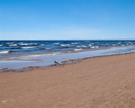A Perfect Day Trip To Jurmala From Riga Latvia World Of Lina