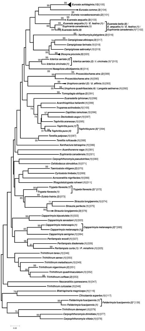 Evolutionary Relationships Among All Other Species Download