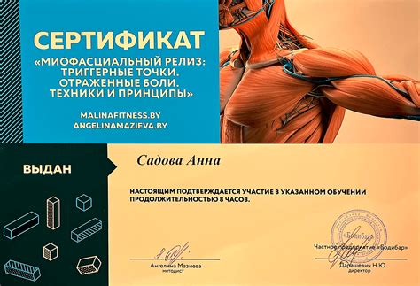 Курс по осанке от Анны Садовой