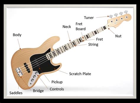 Parts Of A Bass Guitar Diagram Explained For Beginners