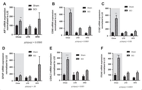 Upregulated Immune Related Transcripts In Thoracic Spinal Cord Region