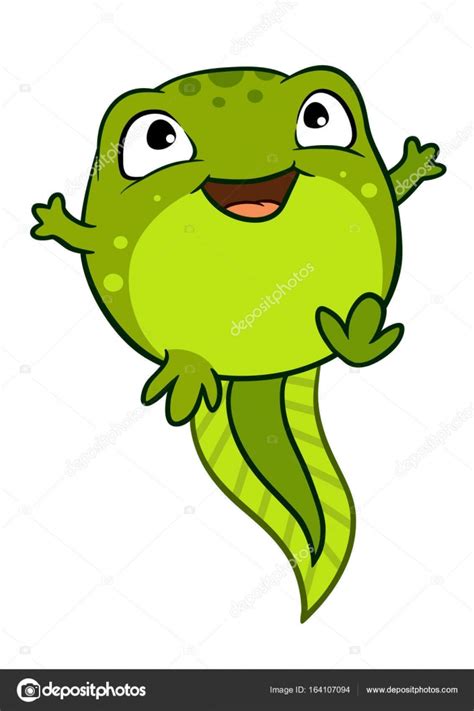 Tadpole To Frog Clipart Eating