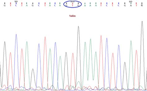 An Electropherogram Related To A Patient With Wild Type Braf The Download Scientific Diagram