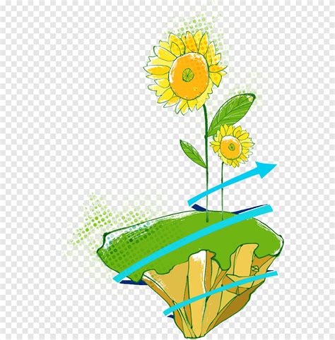 수채화 꽃 일반적인 해바라기 그림 손으로 그린 해바라기 수채화 그림 꽃 배열 Png Pngegg