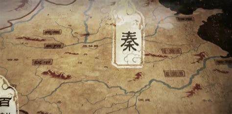 鲨鱼是鱼吗 它跟其他动物有什么关系 100UFO研究中心