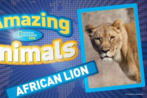 Lewis Dot Diagram Worksheet Printable Pdf Template