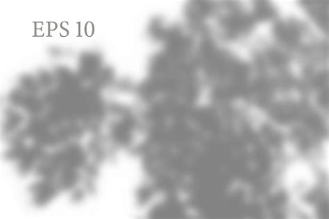 투명 한 자연 식물 그림자 조명 효과 오버레이 메쉬 그리드 나뭇가지 식물 잎 및 땅의 나뭇잎의 그림자 프리젠 테이션 디자인 카드 포스터 사진 현실적인 벡터 일러스트 레이 션