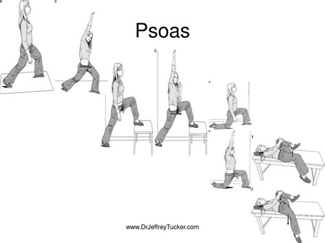 Psoas Stretch 6 Psoas Stretches Thatll Shut Down Your Back Pain Arxvj