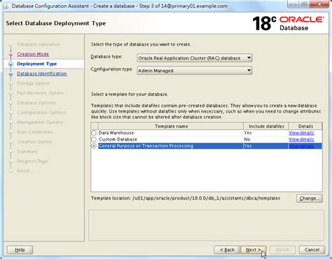 How To Build 18c Rac 4 Of 4 Creating A Rac Database How To Sop