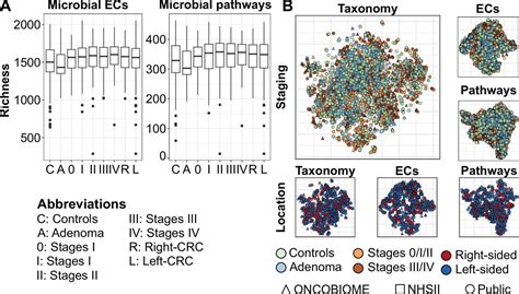 Team Uses Ai And Microbiome Analysis To Accurately Colorectal Cancer Through Gut Bacteria