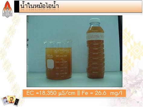 Steam And Condensate Loop Thai Pdf Steam And Condensate Loop Thai Pdf