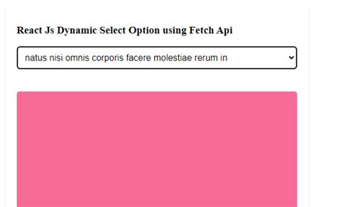 React Js Dynamic Select Option Using Fetch Api Select Option In React Map In React Js