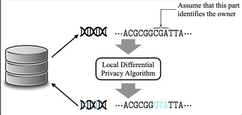 An Example Of Attaching Noise Using Local Differential Privacy Download Scientific Diagram