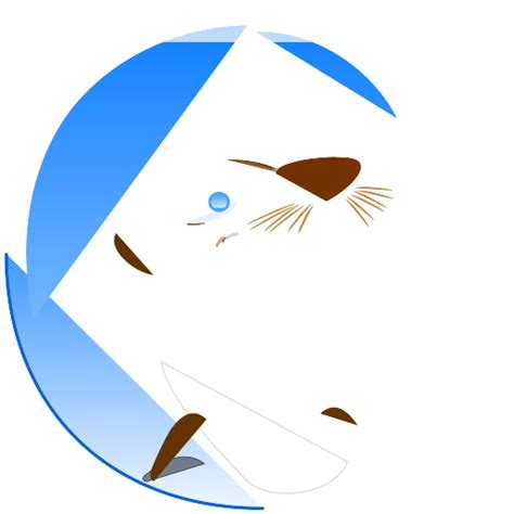 OtterBrowser Zenwerk Public