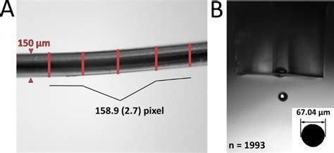 Versatile Dual Inlet Sample Introduction System For Multi Mode Single Particle Inductively