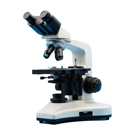 China Light Binocular Microscope Manufacturers Light Binocular