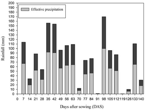 The Rainfall And Effective Precipitation Occurred During The Experiment