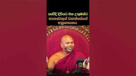 පැවිදි දිවියටඑන උතුමන්ට භාග්‍යවතුන් වහන්සේගේ අනුශාසනය පූජ්‍ය නිවාතාප හිමි පහුර ධර්මයයි ඔබයි