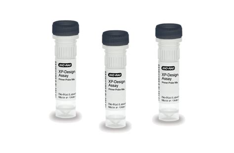 Xp Design Pcr Assays Bio Rad