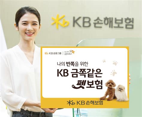 펫보험도 자녀보험처럼kb손보 금쪽같은 펫보험 한 달 분석해보니