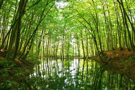 清津峡や松之山温泉をめぐる1日ドライブコース新潟県十日町市鉄板ルート 十日町市観光協会