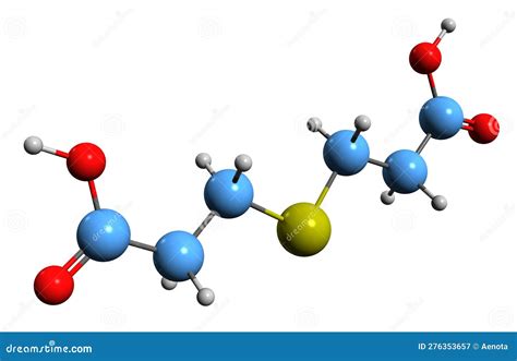 3d Image Of Thiodipropionic Acid Skeletal Formula Stock Illustration