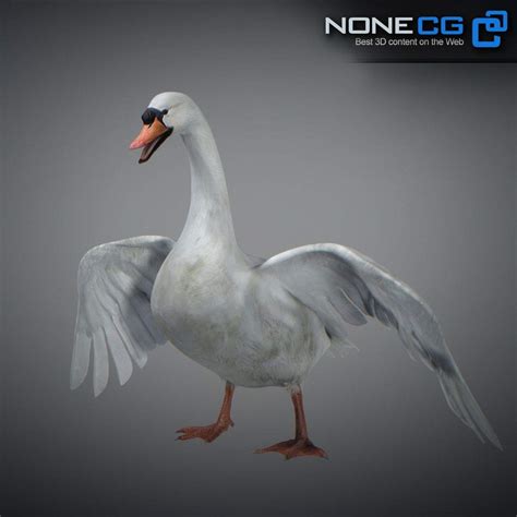 Swan 3d Model By Nonecg