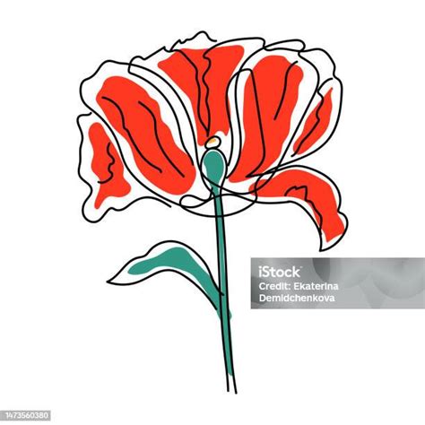 손으로 그린 빨간 꽃잎이 있는 선형 양귀비 꽃 양식화된 그림 격리된 벡터 선 그림 양귀비 꽃 아이콘 로고 레이블 검은색에 대한 스톡 벡터 아트 및 기타 이미지 Istock