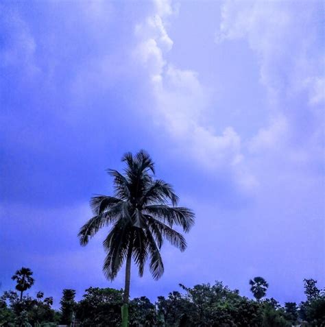 Premium Photo Edit Cloud Photo