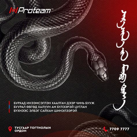 Proteam Fitness Нийт ажилтан эрхэм үйлчлүүлэгч хамтран