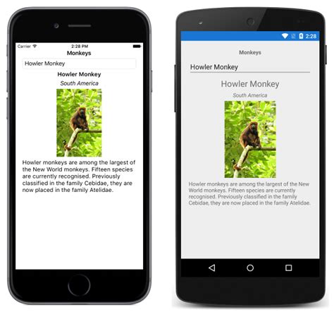 Setting A Pickers Itemssource Property Xamarin Microsoft Learn