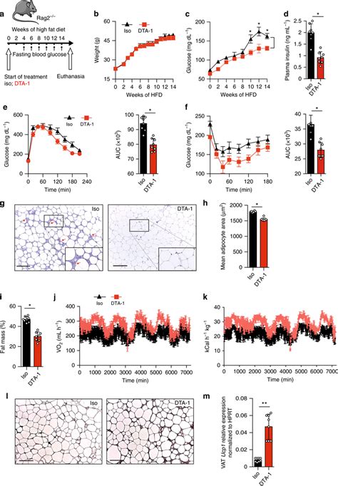 Preventive Gitr Engagement Protects From Type 2 Diabetes In Rag2 Download Scientific Diagram