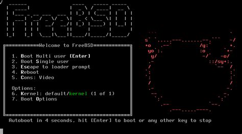 How To Install Freebsd With Static Ip Address